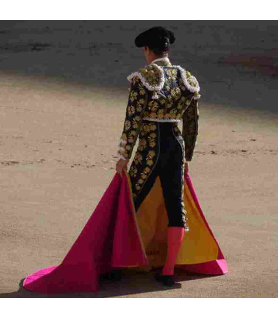 Martín Pareja Obregón: El Torero con un Tronco de Leyenda y un Capote ...